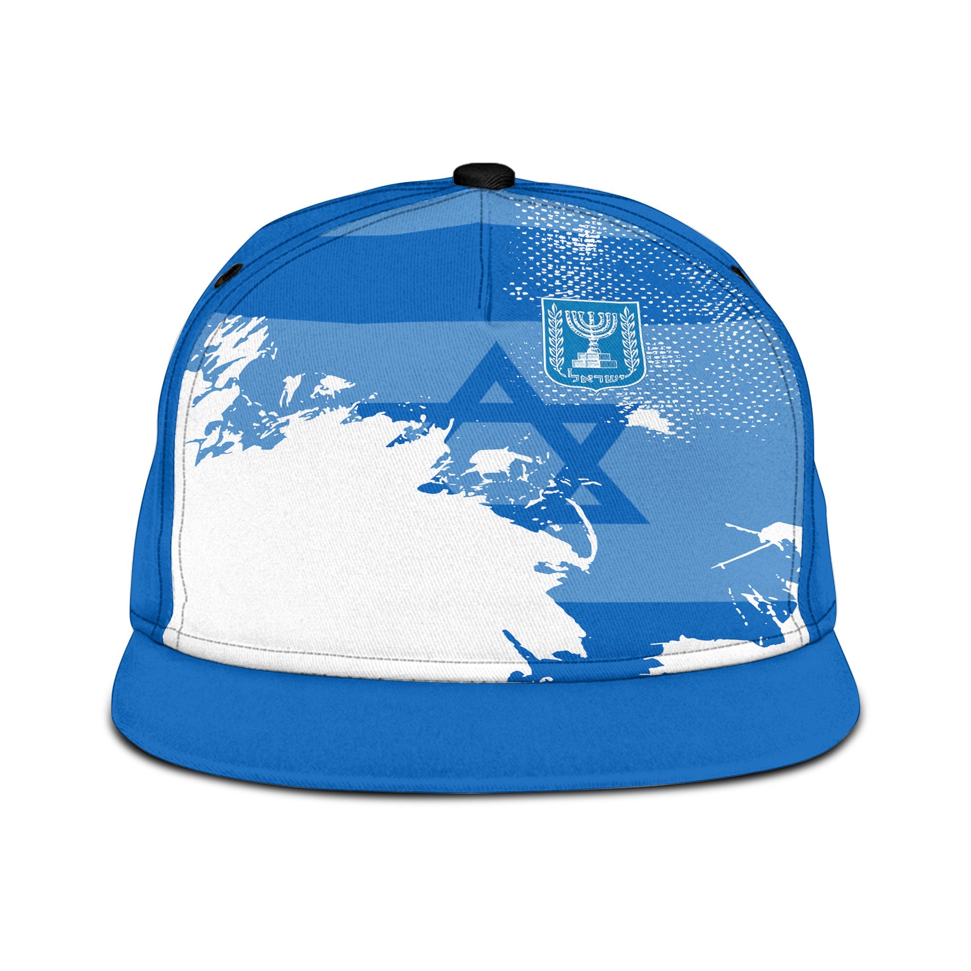 Israel Snapback Hat Flag & Coat Of Arms Paint Style – To The Closet
